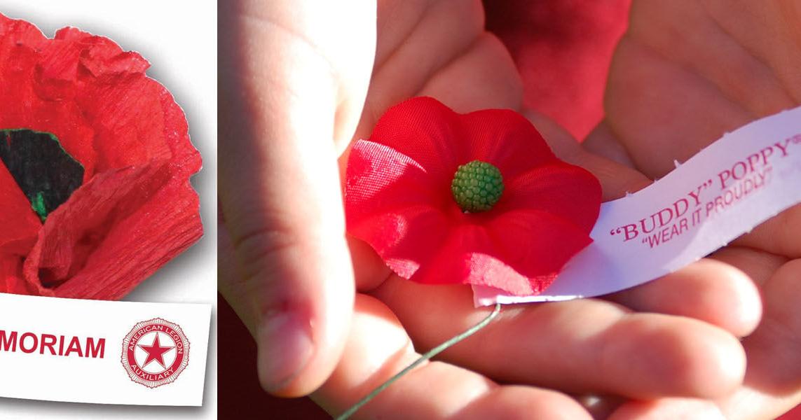 Poppy Day tradition still strong in St. Paul Park | Local News ...