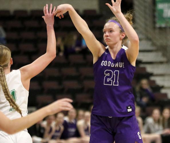 Second-half surge plenty in Goodhue's section quarterfinal win | Sports ...