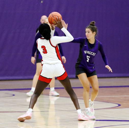 Red Wing to lean on iron women basketball this season | Sports ...