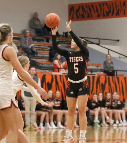 Playmaking guards lead all-area girls basketball teams | Sports ...