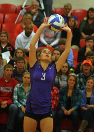 All-Area Volleyball: Juniors dominate All-Area volleyball squad ...