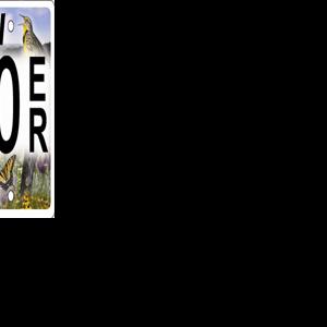 DNR ramps up efforts to sell badger license plate | Local News ...
