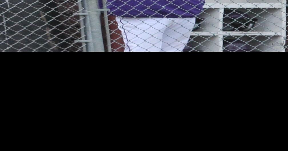 Ellsworth baseball: Christenson ready to lead Panthers | Sports ...