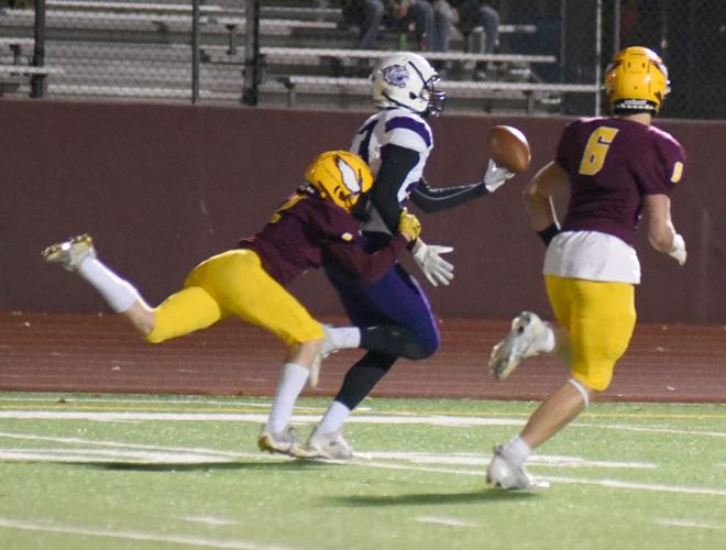 PHOTOS: Goodhue advances in football playoffs with 27-7 victory ...