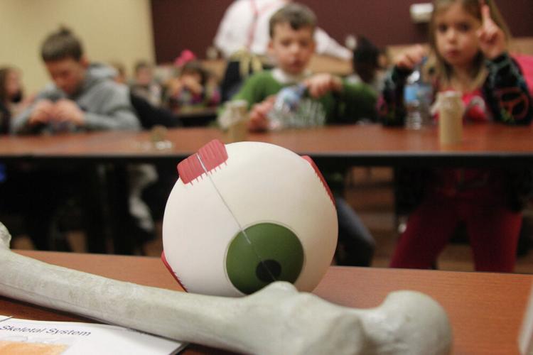 ER 101: Class teaches children about the human body, first aid | Local ...