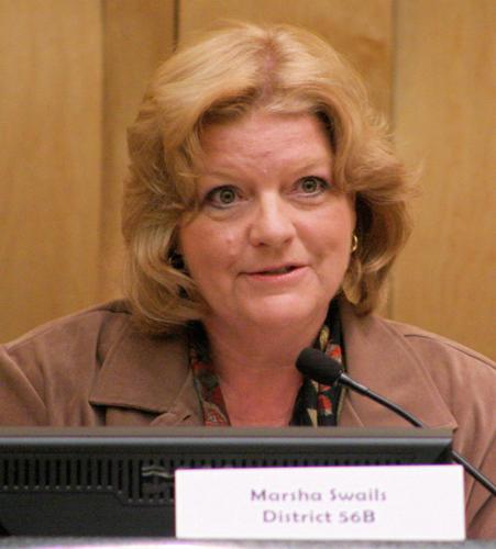 Legislative candidates spell out differences | Government ...