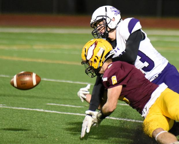 PHOTOS: Goodhue advances in football playoffs with 27-7 victory ...