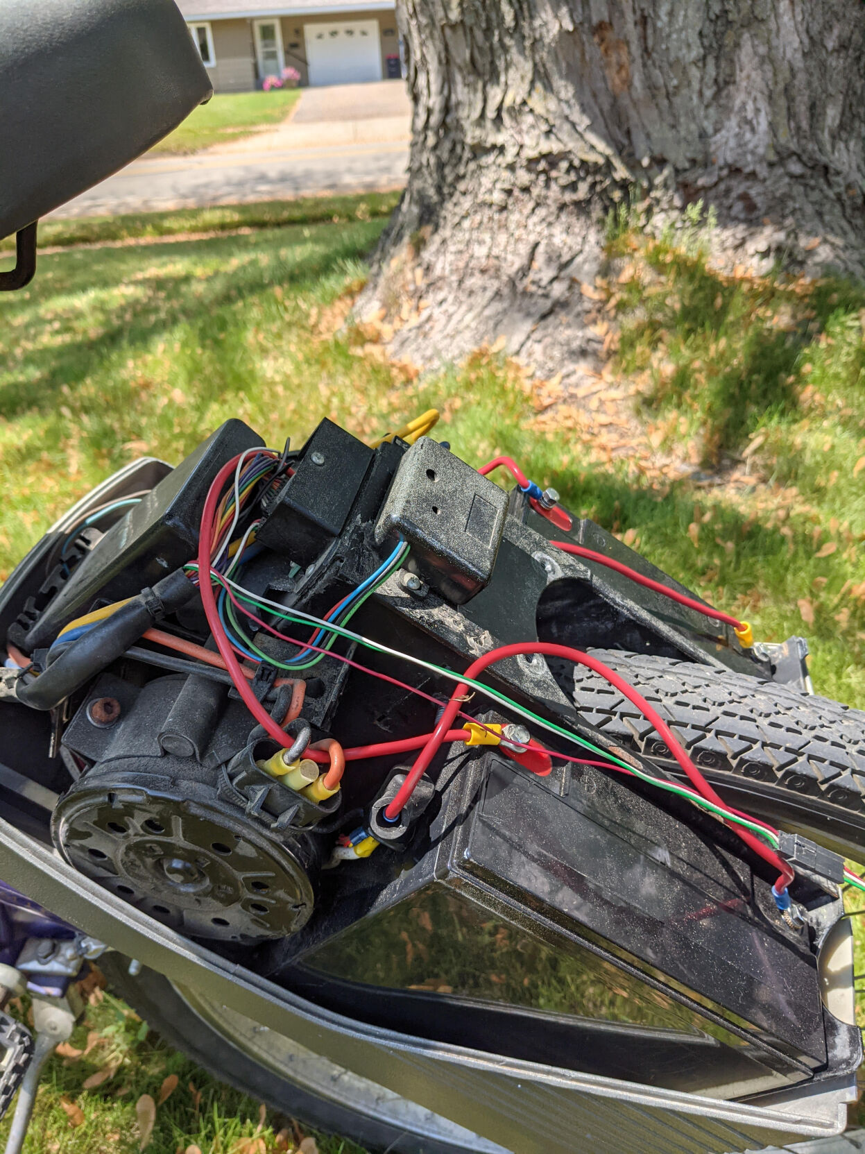 Trend Alert: Red Wing Bicycle Company and commissioner Paul Drotos talk ...