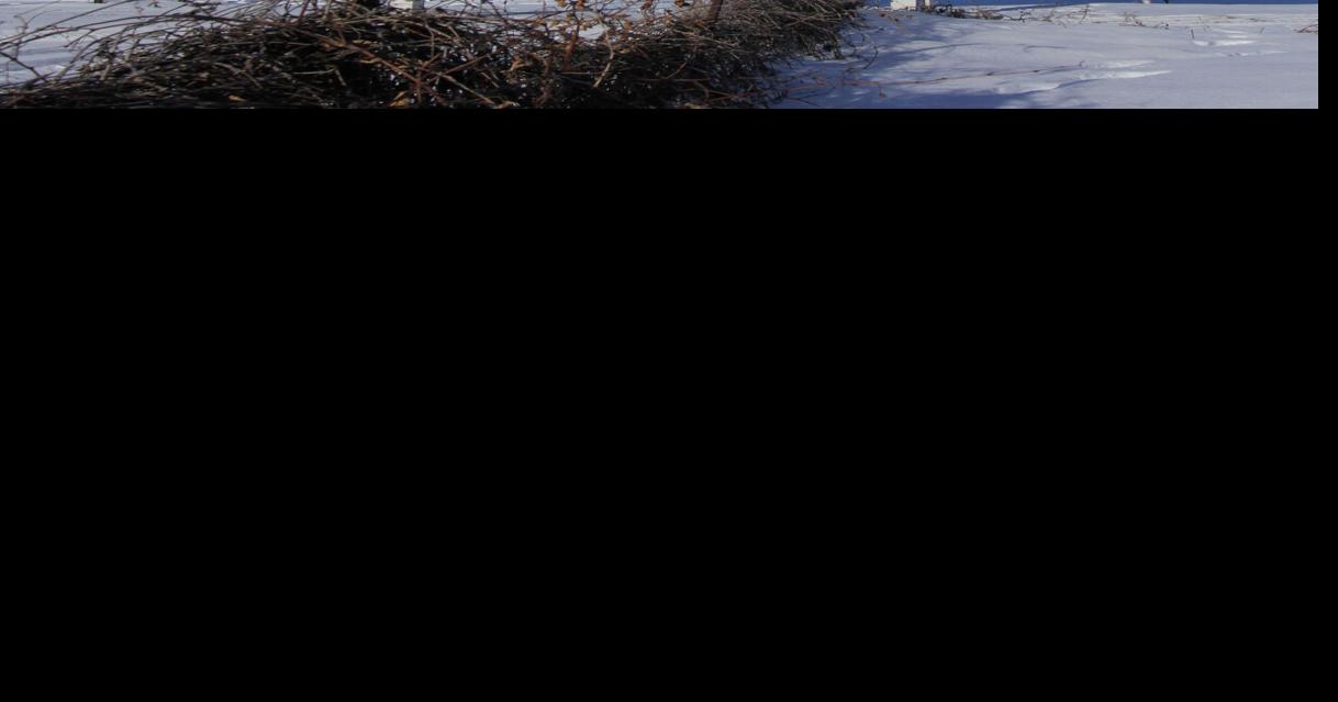 Cottage View Drive-In sign's got to go | Government | republicaneagle.com