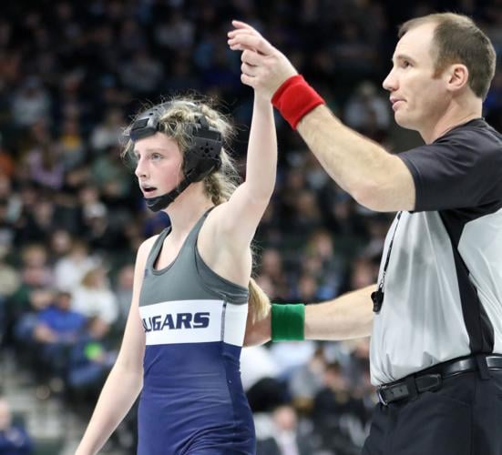 Krier, Lochner finish wrestling careers third at state: Schaefer places ...