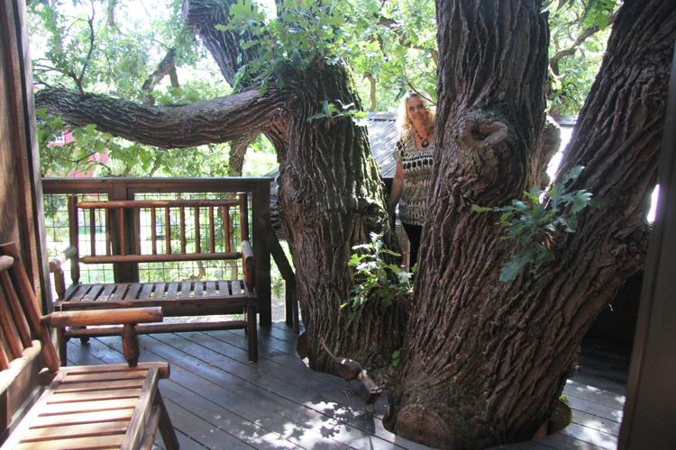 Hope Glen Farm unveils treehouse suite | Things To Do | republicaneagle.com