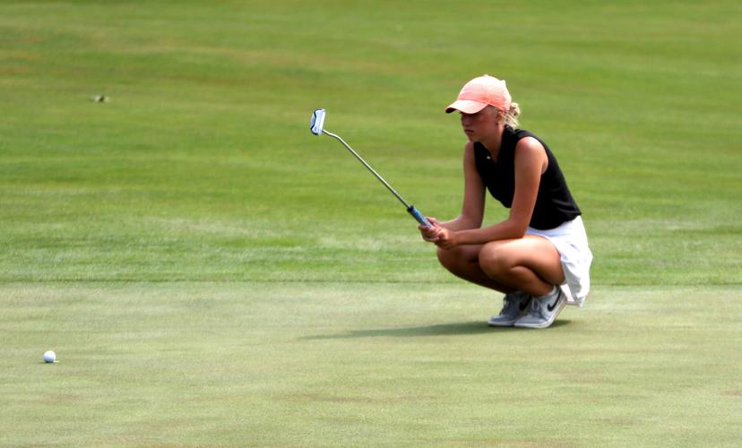 Still a great run: Tigers fall short of three-peat | Sports ...