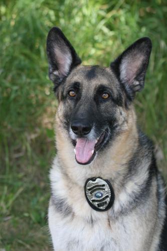 Woodbury's first 'K9' police dog laid to rest | Local News ...