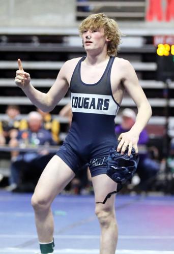 Goodhue's Bien finally breaks through at section meet: Z-M sends seven ...