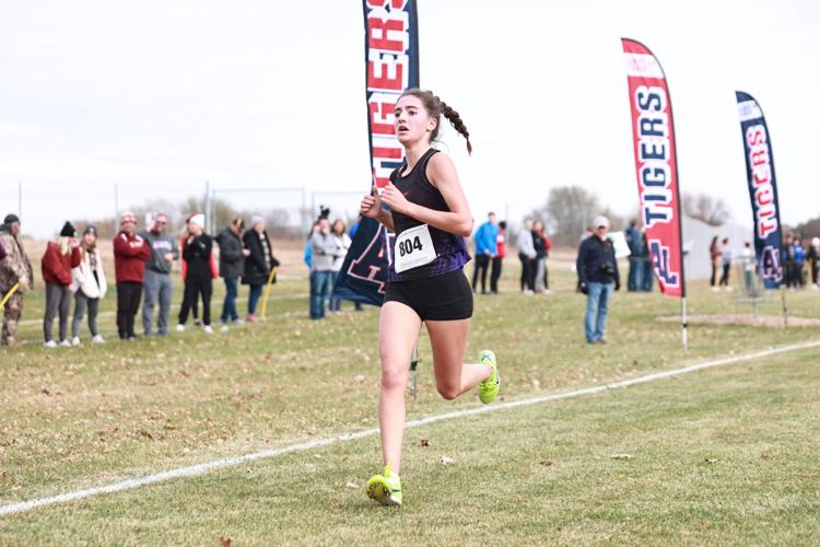 Wingers send three to state, Hanson wins Section 1AA title | Sports ...
