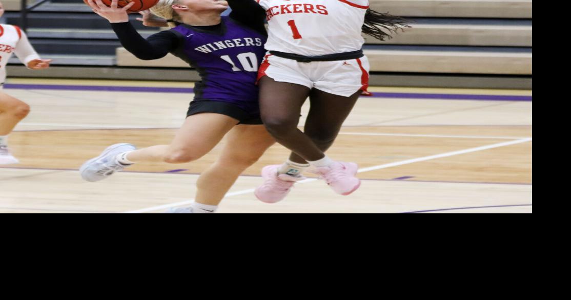 Newly ranked Red Wing girls basketball prevails at home | Newsletter ...