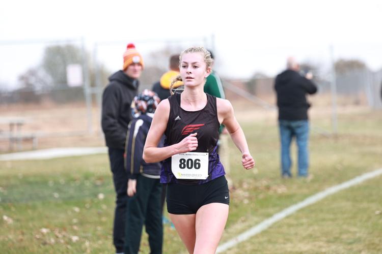 Wingers send three to state, Hanson wins Section 1AA title | Sports ...