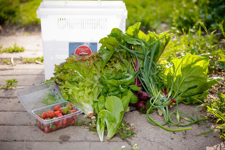 Threshing Table Farm still producing after 10 years | Business ...