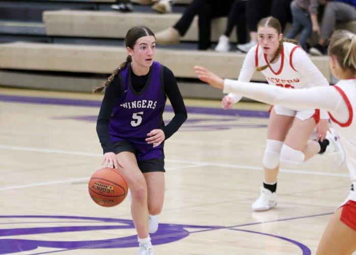 Newly ranked Red Wing girls basketball prevails at home | Newsletter ...