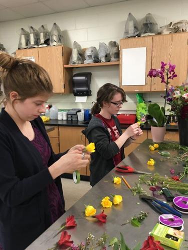 Hudson FFA Floriculture team heads to national stage | Schools ...