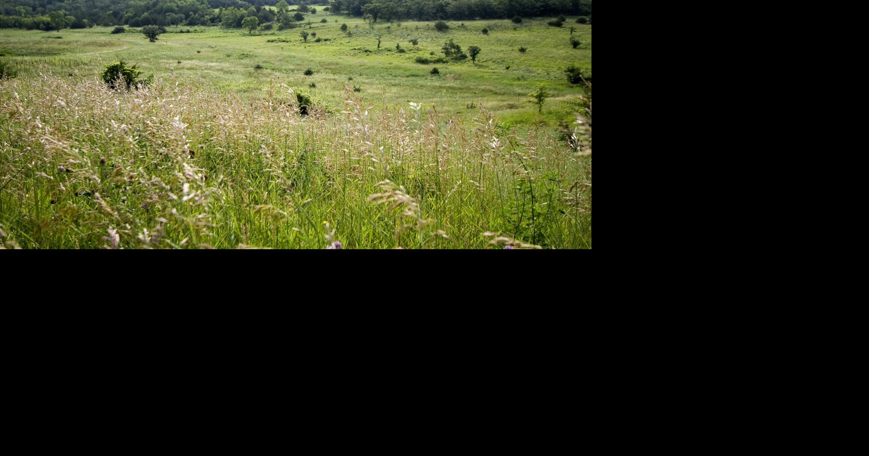 Hastings Sand Coulee expands | Things To Do | republicaneagle.com