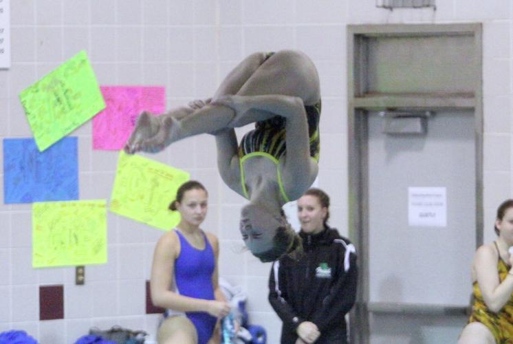 Swimming and Diving: One Raptor, two Royals divers qualify for state ...