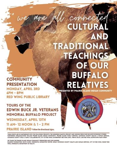 Gruffalo Storytelling, buffalo relatives presentation, Salsalicious ...