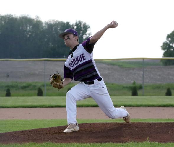 Superb pitching highlights area baseball teams | Newsletter ...