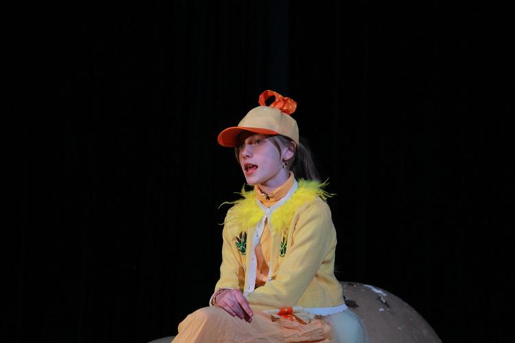 Honk Jr. shows this weekend | Local News | republicaneagle.com