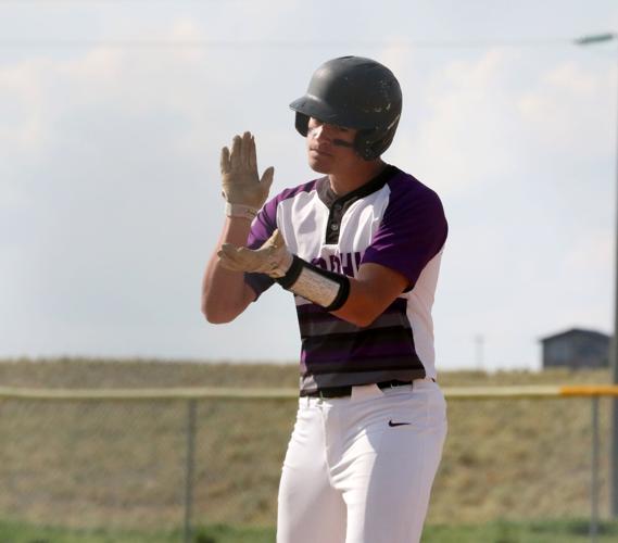 Area section baseball: May 22 | Sports | republicaneagle.com