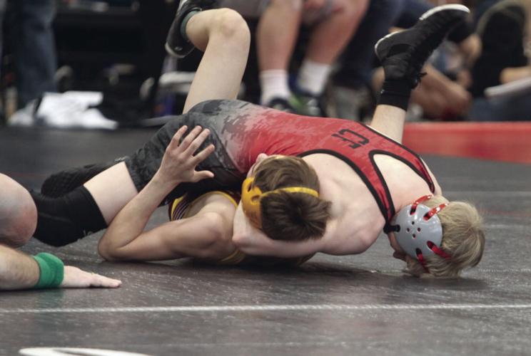 Section 1AA Wrestling: Cannon Falls, Lake City send a handful of ...