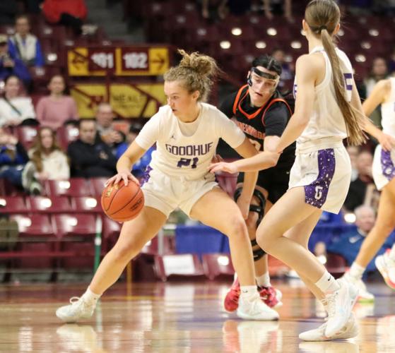 Goodhue's stars step up to lead team to state championship: Gadient ...