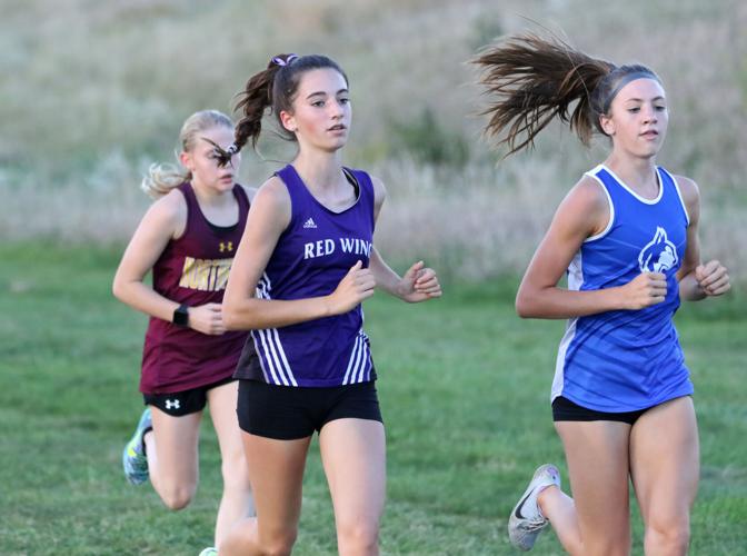 Hanson places first at Red Wing meet | Sports | republicaneagle.com
