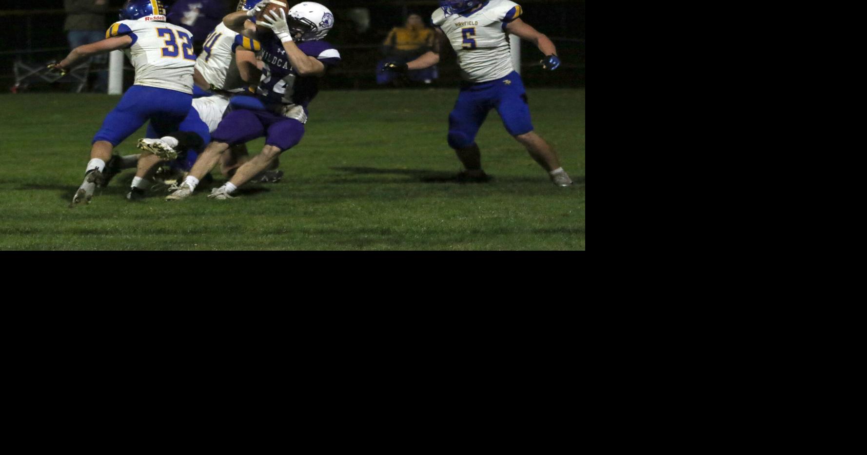 Goodhue wins regular-season finale: Likely the fourth seed in Section ...