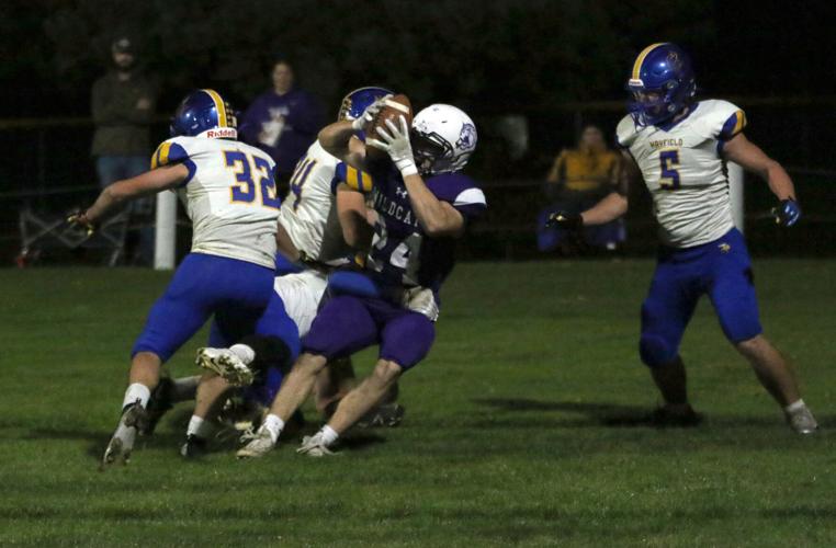 Goodhue wins regular-season finale: Likely the fourth seed in Section ...