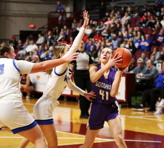 Good in all aspects: Wildcats settling in after state quarterfinal win ...