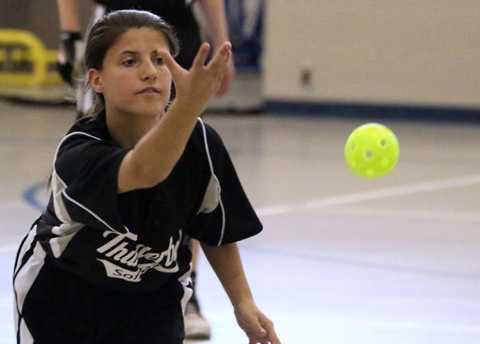 Adapted Softball: Thunderbolts head back to state softball tournament ...