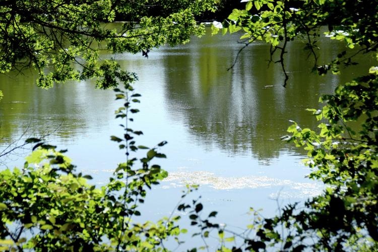 Colby Lake trails get updated, gain popularity among residents | Things ...