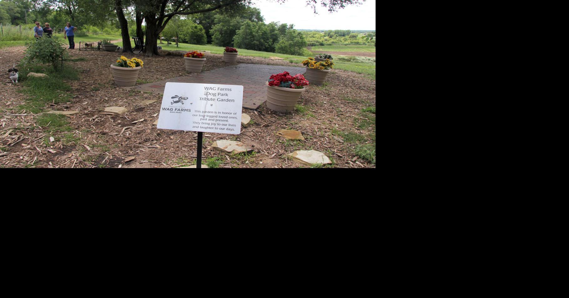 Wags for Water fundraiser to help dog park in Cottage Grove | Things To ...