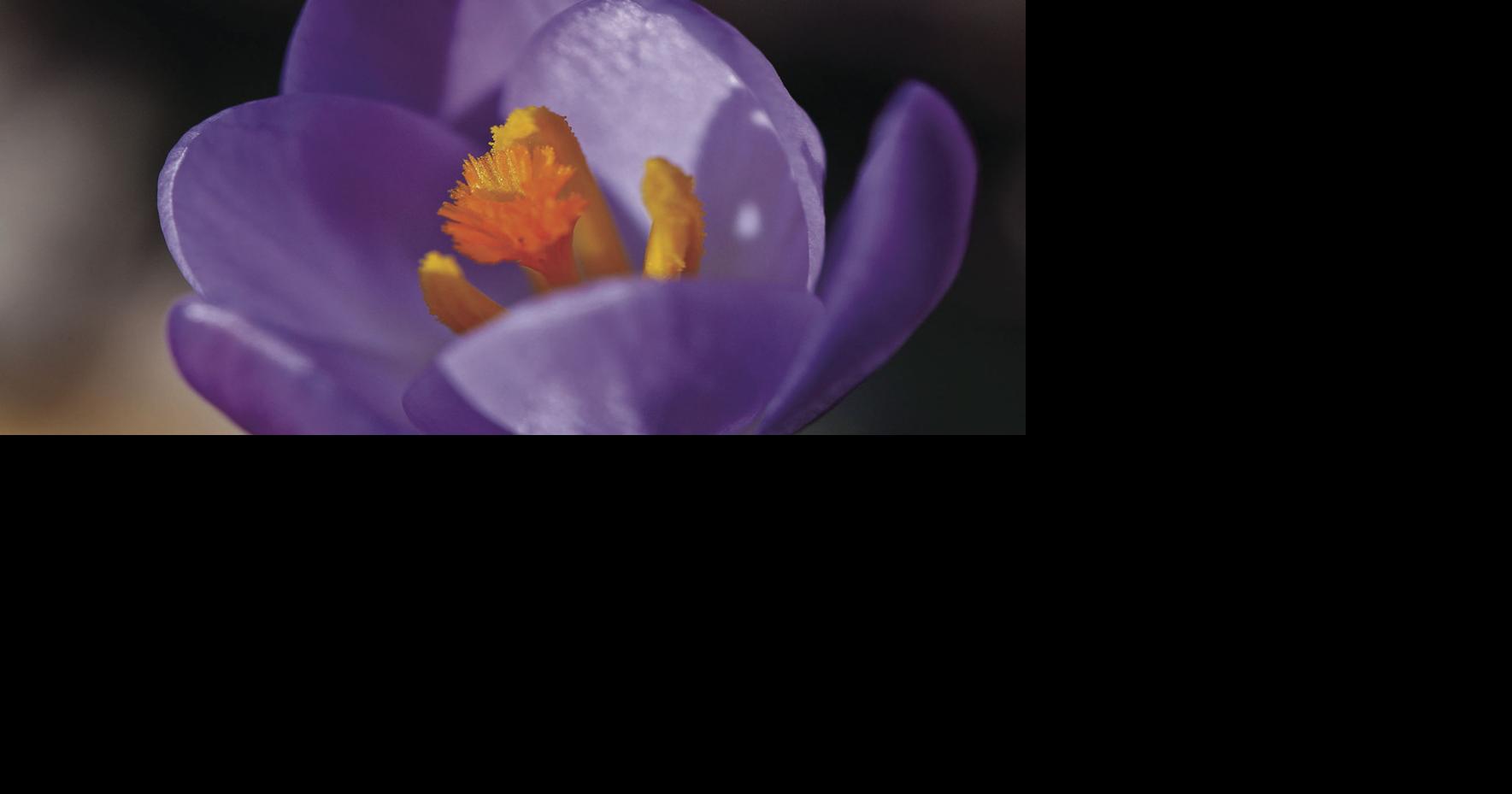 The long and short of seasonal ebbs and flows | Arts Entertainment ...