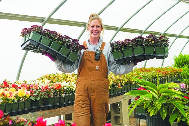 South County garden centers and nurseries celebrate arrival of spring ...