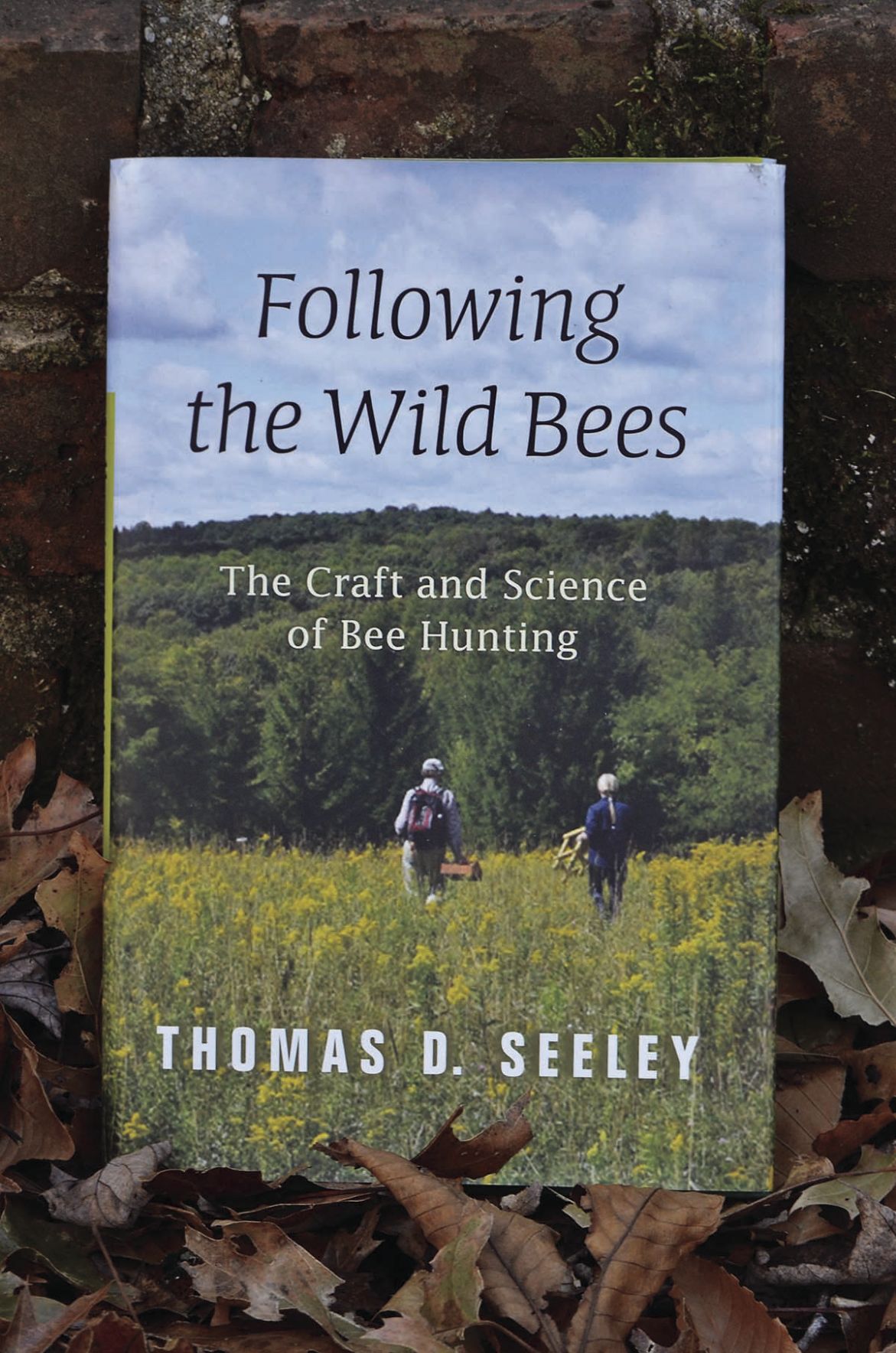 Honeybee hunting–a guide to following a beeline | Arts Entertainment ...