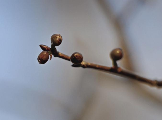 The long and short of seasonal ebbs and flows | Arts Entertainment ...