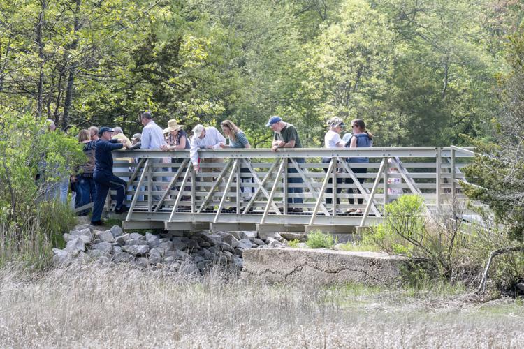 Wickford’s Mill Cove Footbridge rebuild complete | NK Standard-Times ...
