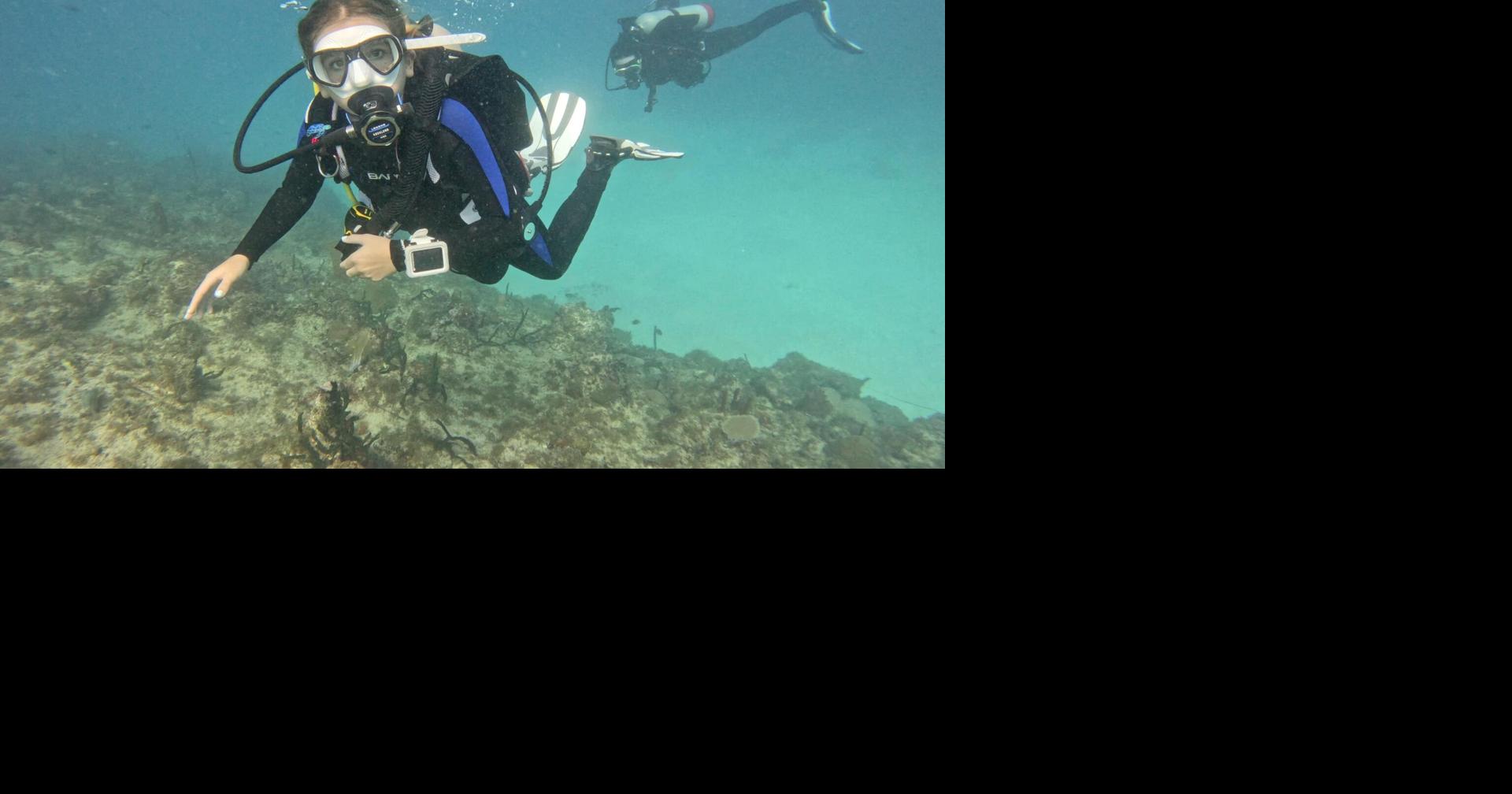 EG’s Mia DaPonte seeks to become master scuba diver | East Greenwich ...
