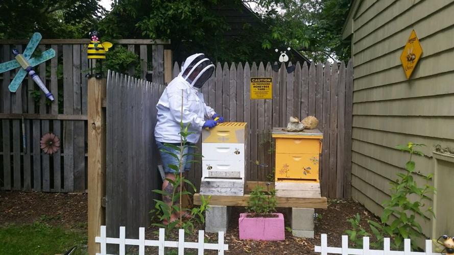Local beekeeper sells honey, promotes honeybee preservation | Coventry ...