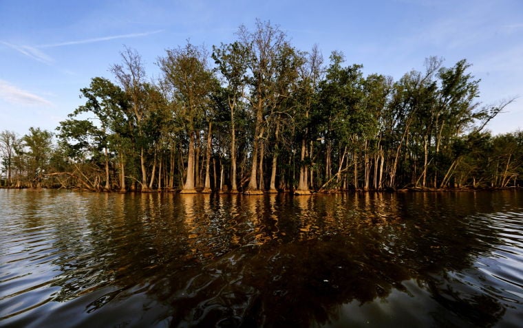 Owners, neighbors split on plan to preserve marsh