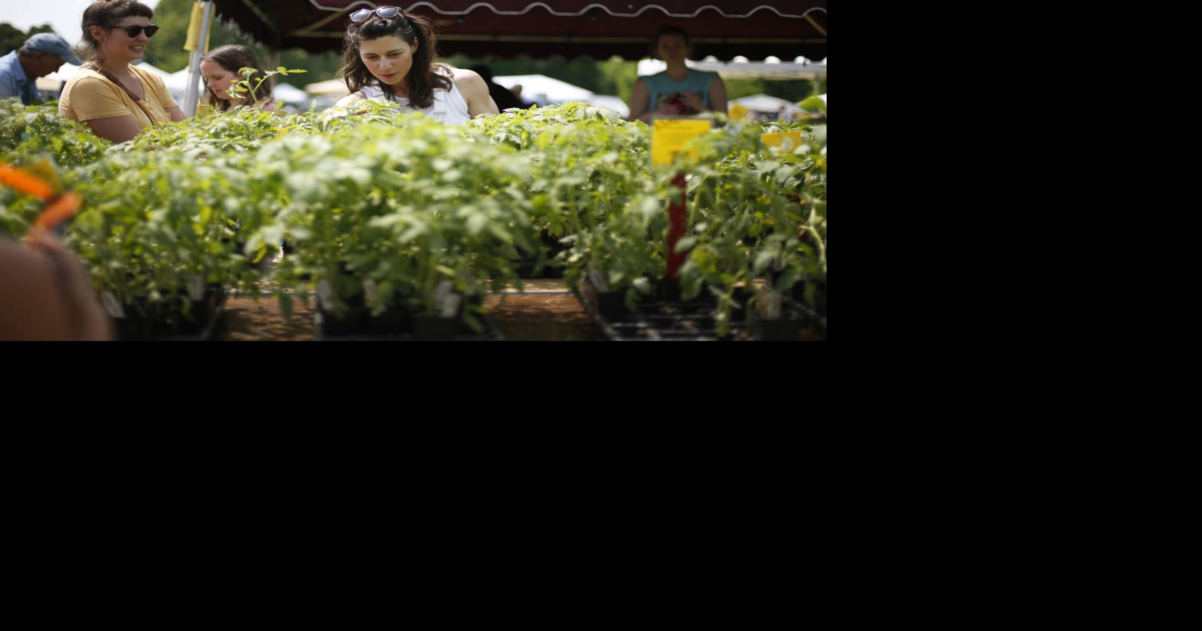 Top events in Richmond this weekend