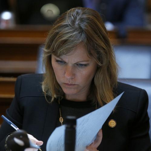 House backs overhaul of elections board's structure