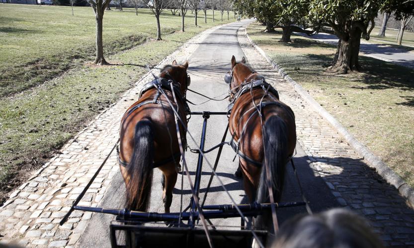 Maymont Farm to re-open March 26 with family-friendly festival